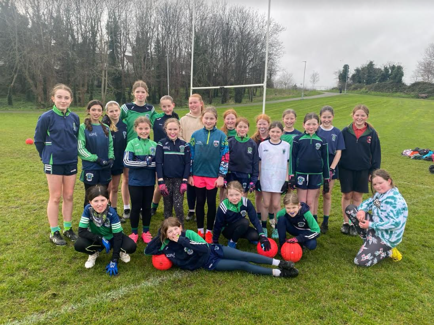 FoxCabGaa - Foxrock Cabinteely GAA Club