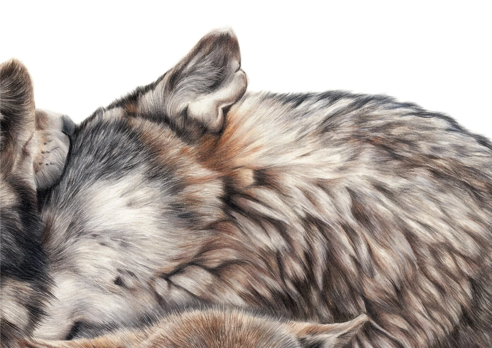 "The Pack" Limited Edition Fine Art Print — Jenna Chartrand Fine Art