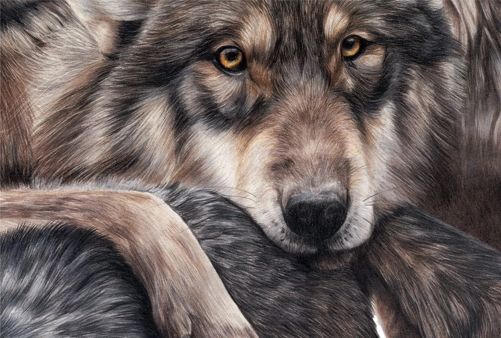 "The Pack" Limited Edition Fine Art Print — Jenna Chartrand Fine Art