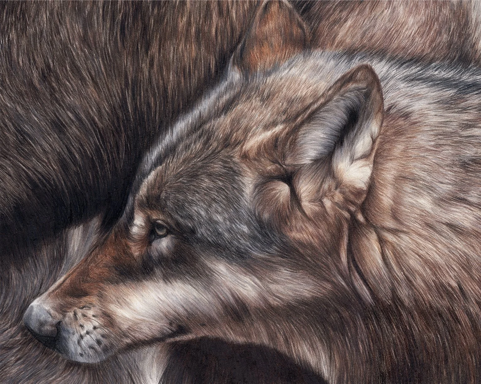 "The Pack" Limited Edition Fine Art Print — Jenna Chartrand Fine Art