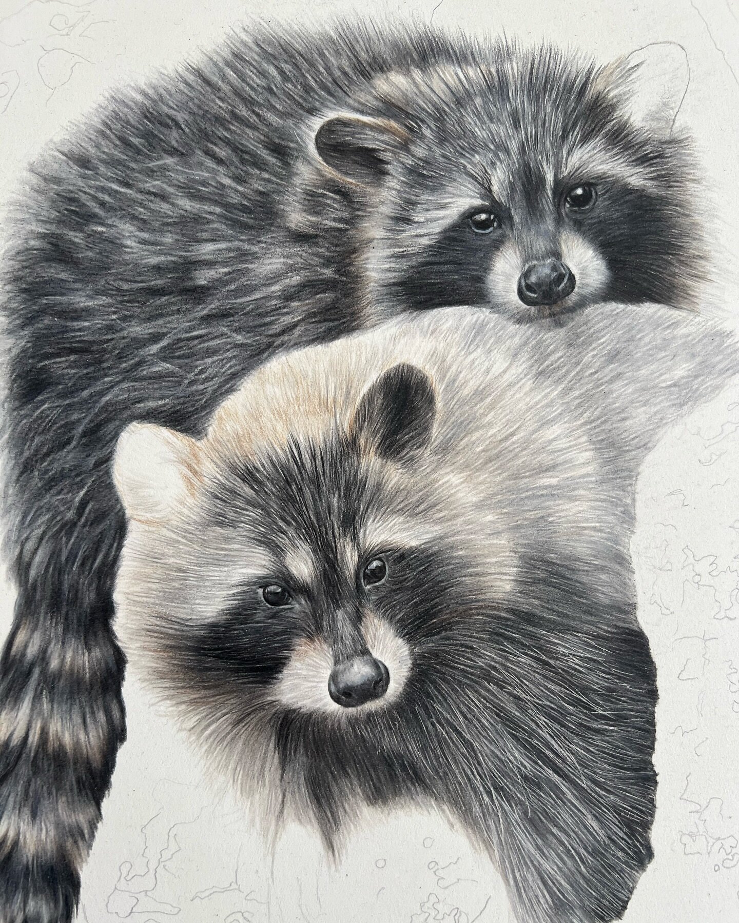 Gift Certificates — Jenna Chartrand Fine Artist