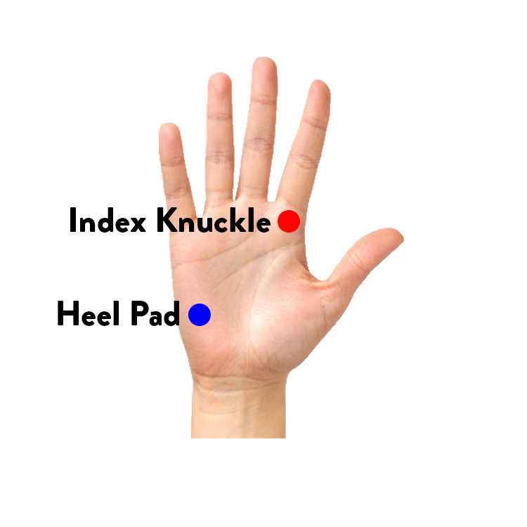 Roger Federer Grip Guide, Illustrated — TennisCraft