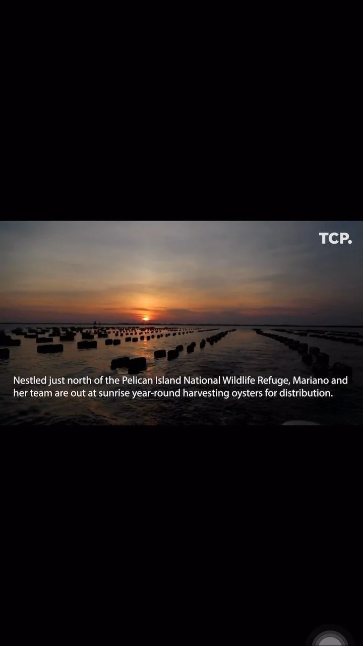 The Sandbar Restaurant - Anna Maria Island