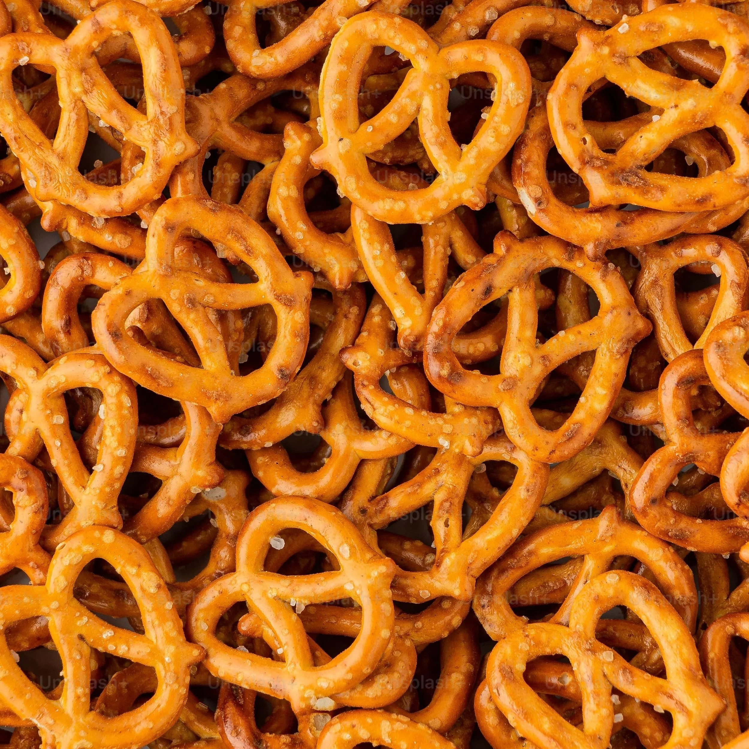 PrimaFoodie | Lifestyle & Wellness