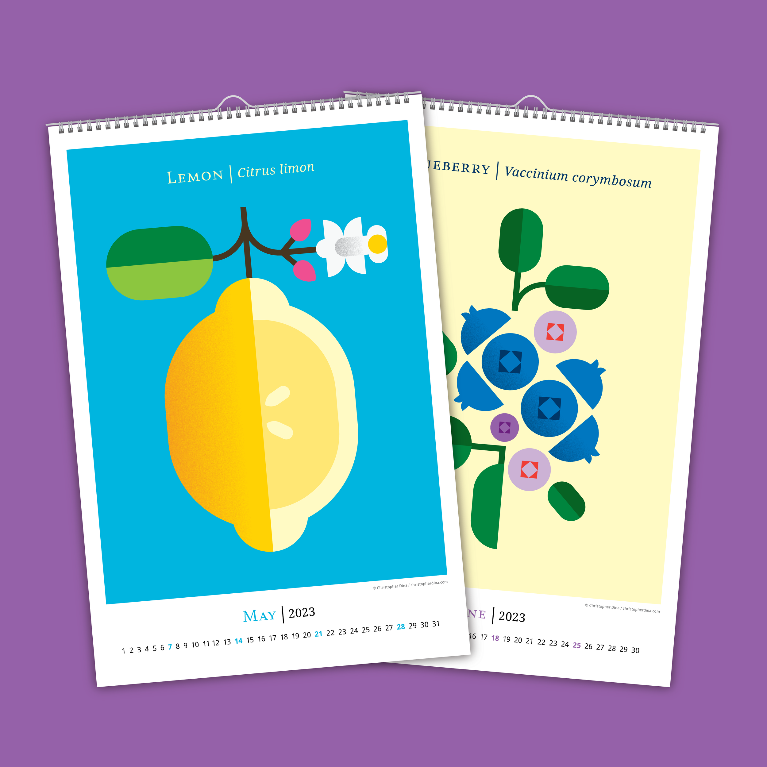 Calendar: Fruit — CHRISTOPHER DINA
