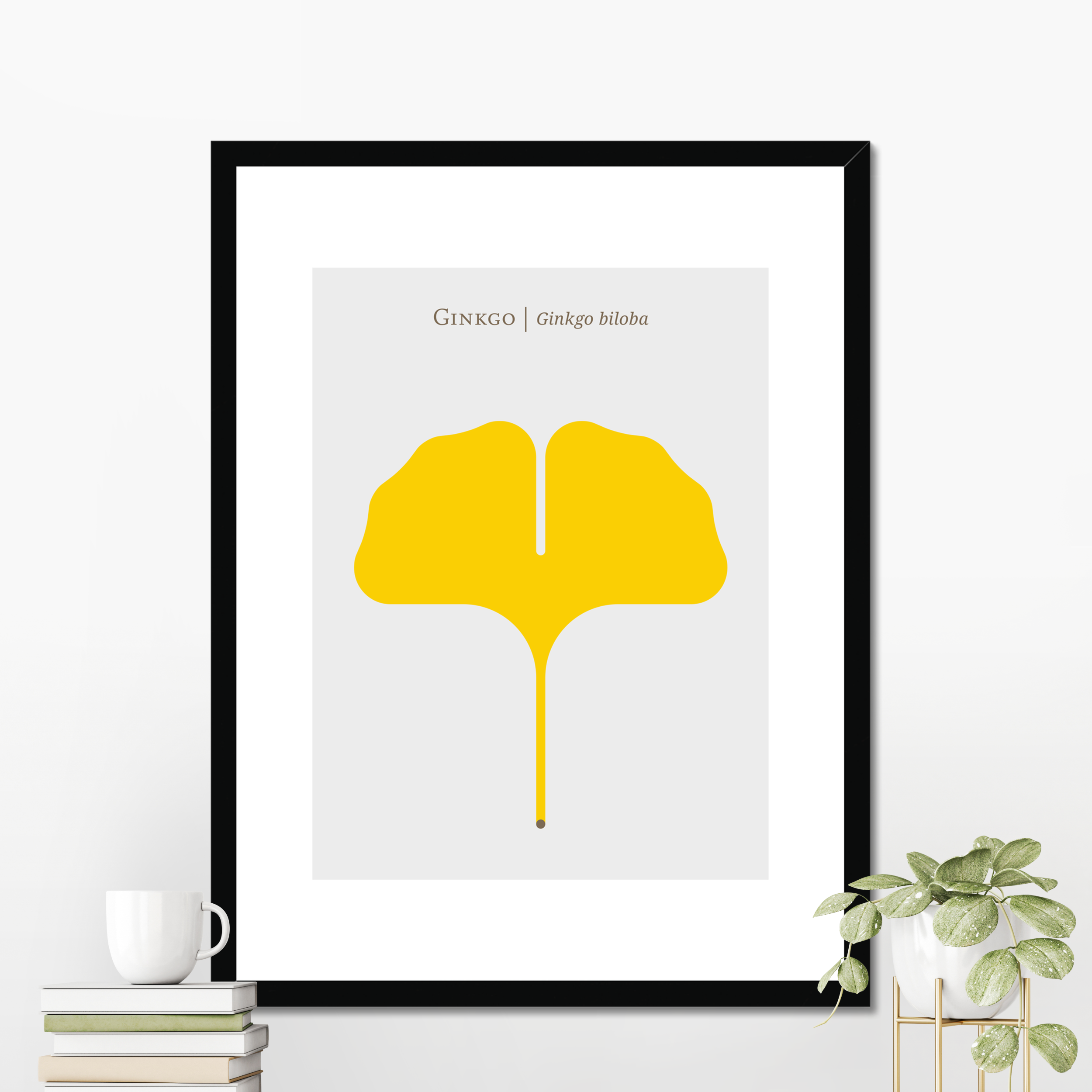 Site Shop — CHRISTOPHER DINA