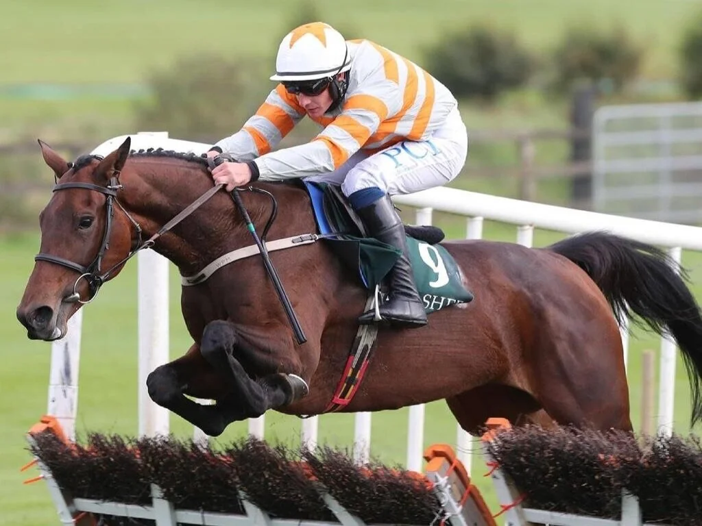 Closutton Racing Club