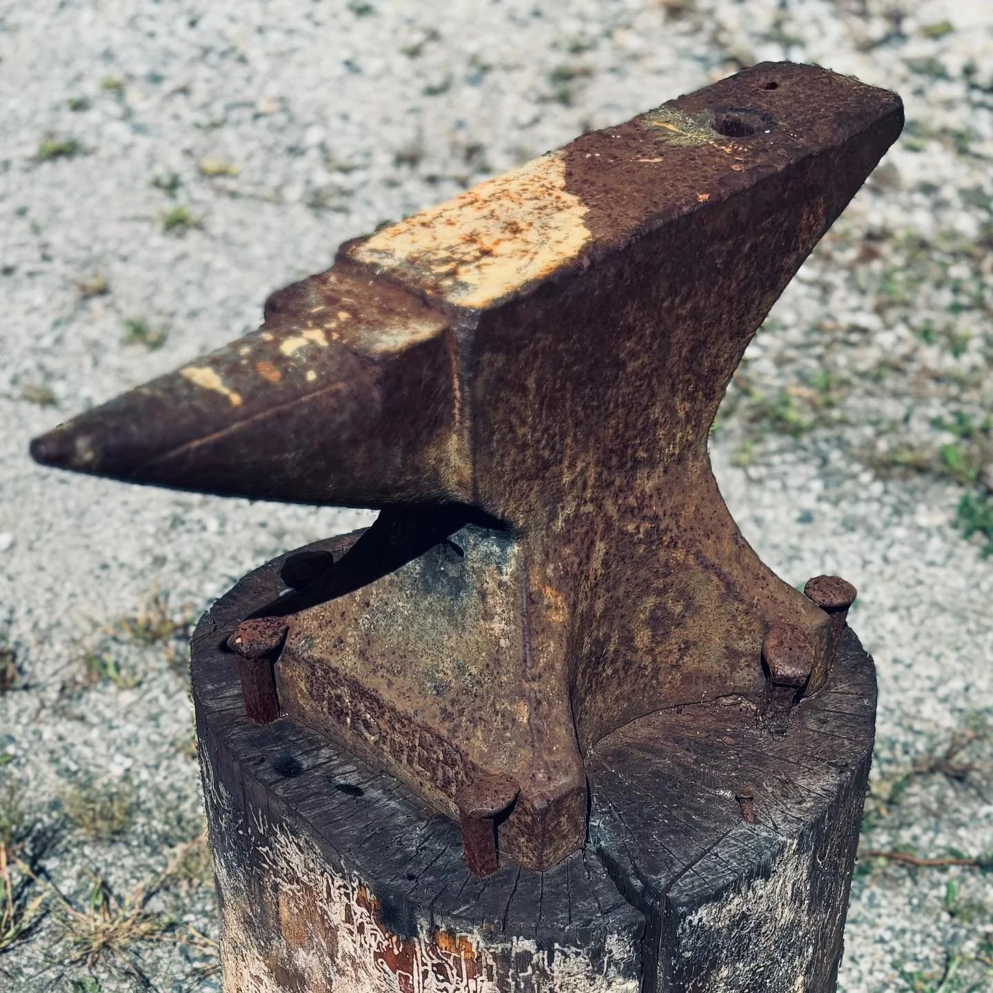 WHAT'S NEW? — Frost Antiques & Gifts