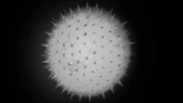 Microscopy — Optotune