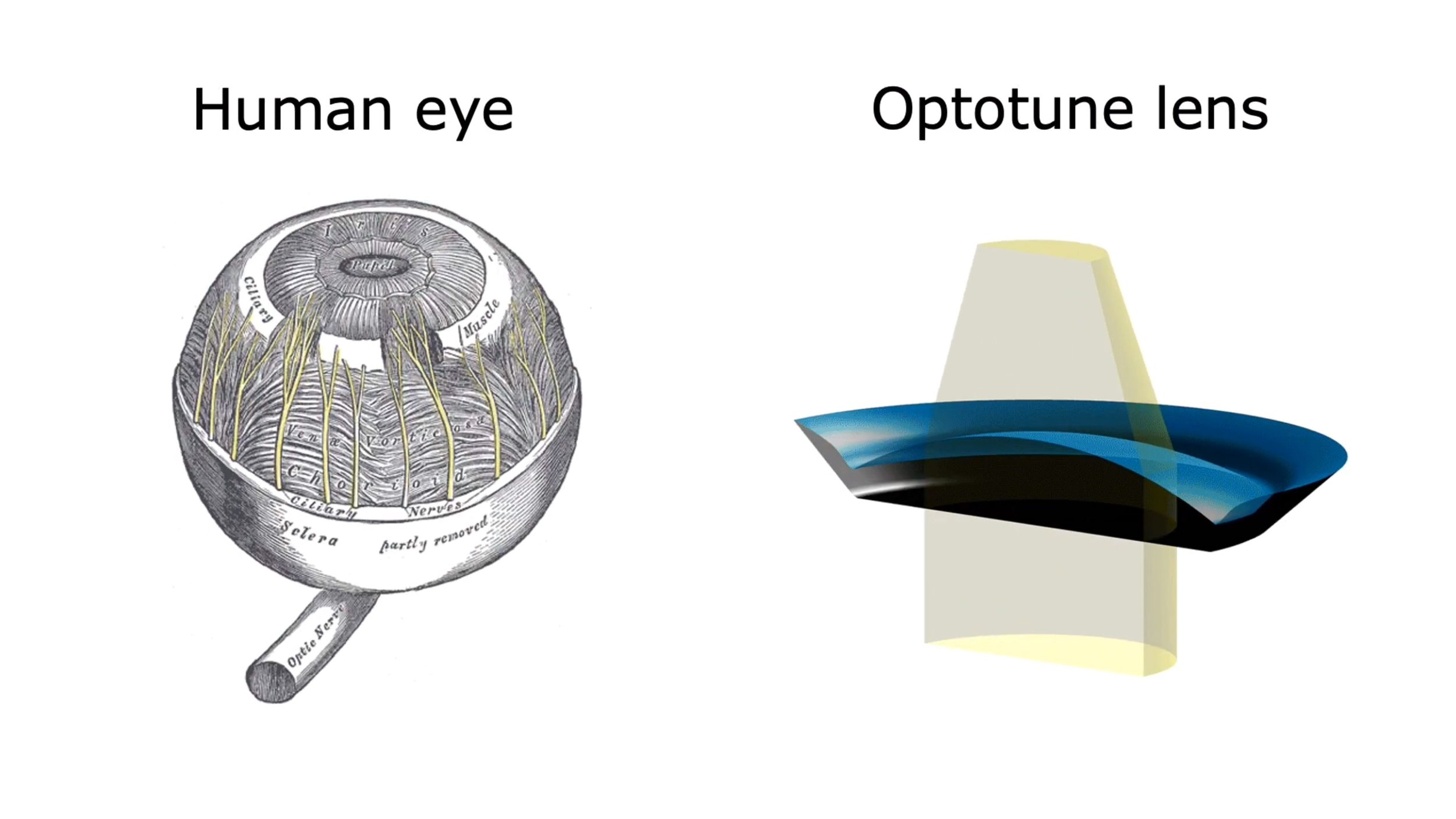Fast focusing in Machine Vision — Optotune