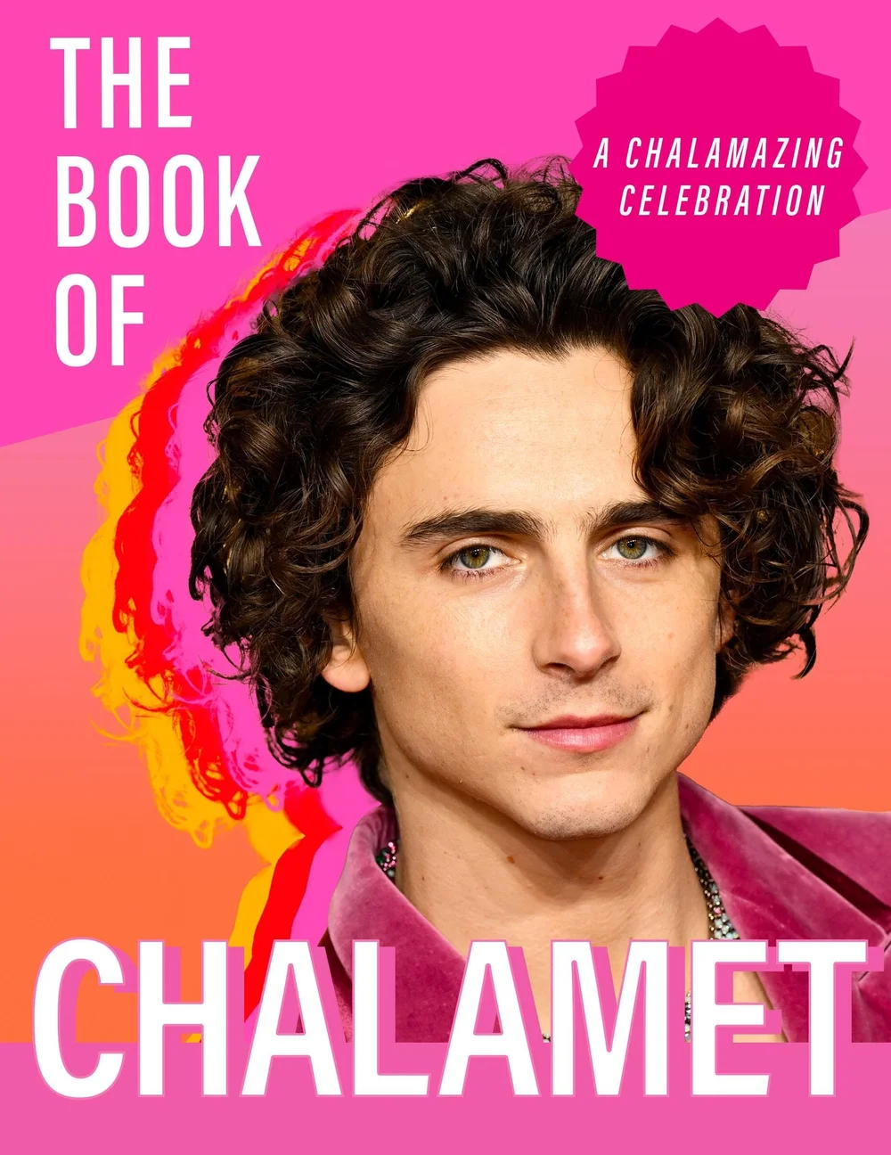 The Book of Chalamet — HACHETTE MOBIUS
