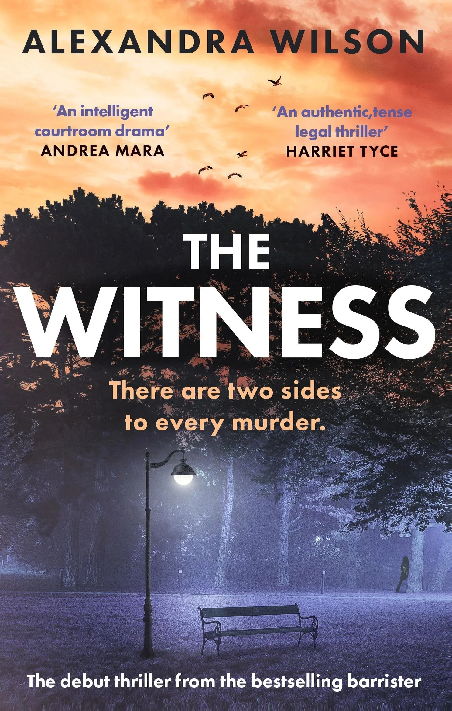 The Witness — HACHETTE MOBIUS
