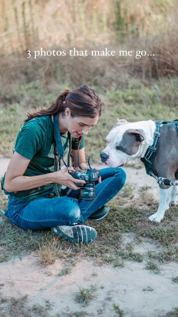 Benefits Of Switching To IPS In Your Pet Photography Business — FIVE ...