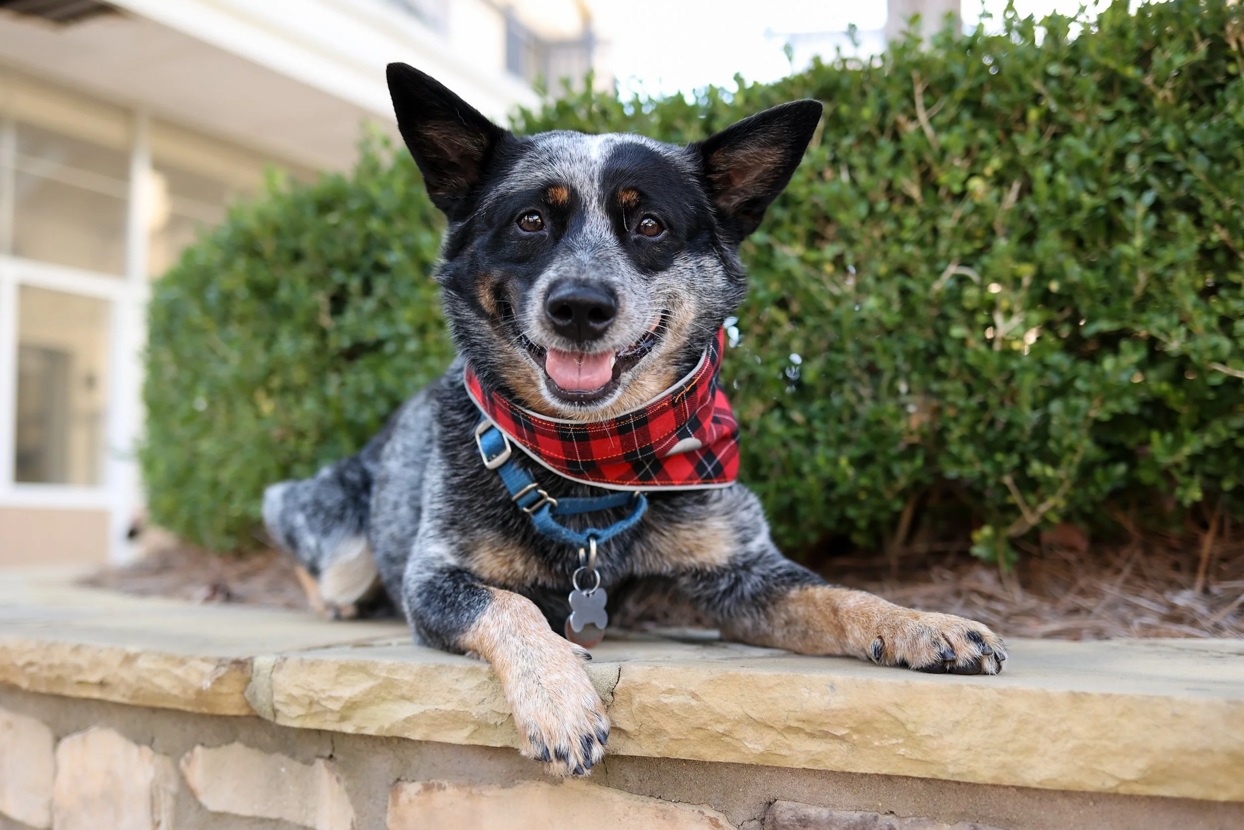 Events — FIVE FREEDOMS PHOTOGRAPHY