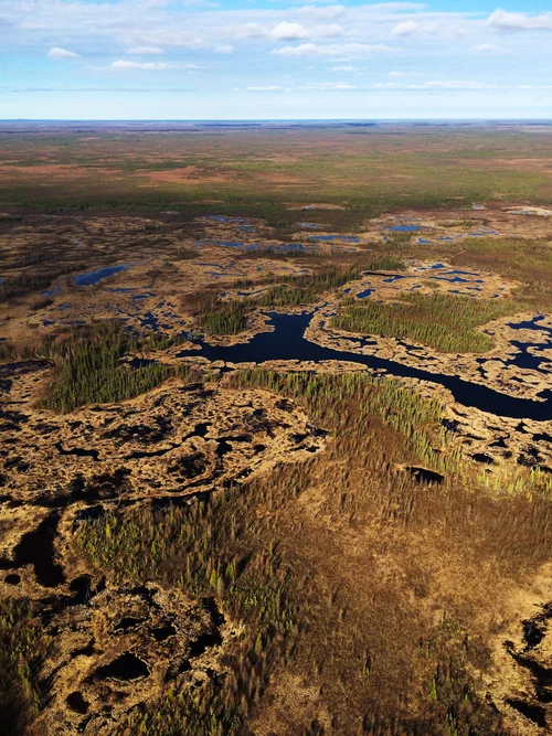 Protected Areas — Land Needs Guardians