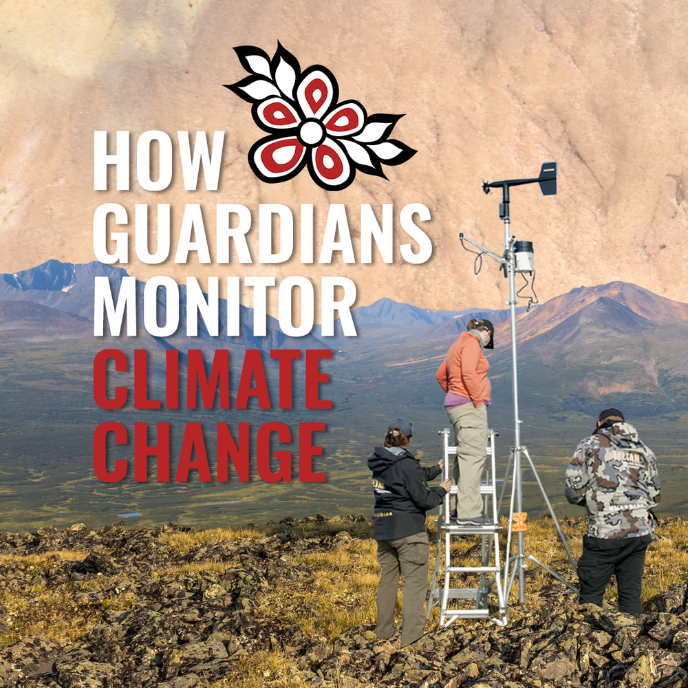Videos — Land Needs Guardians