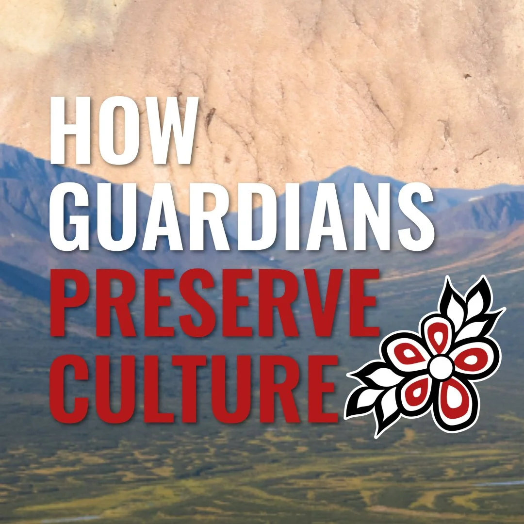 Videos — Land Needs Guardians