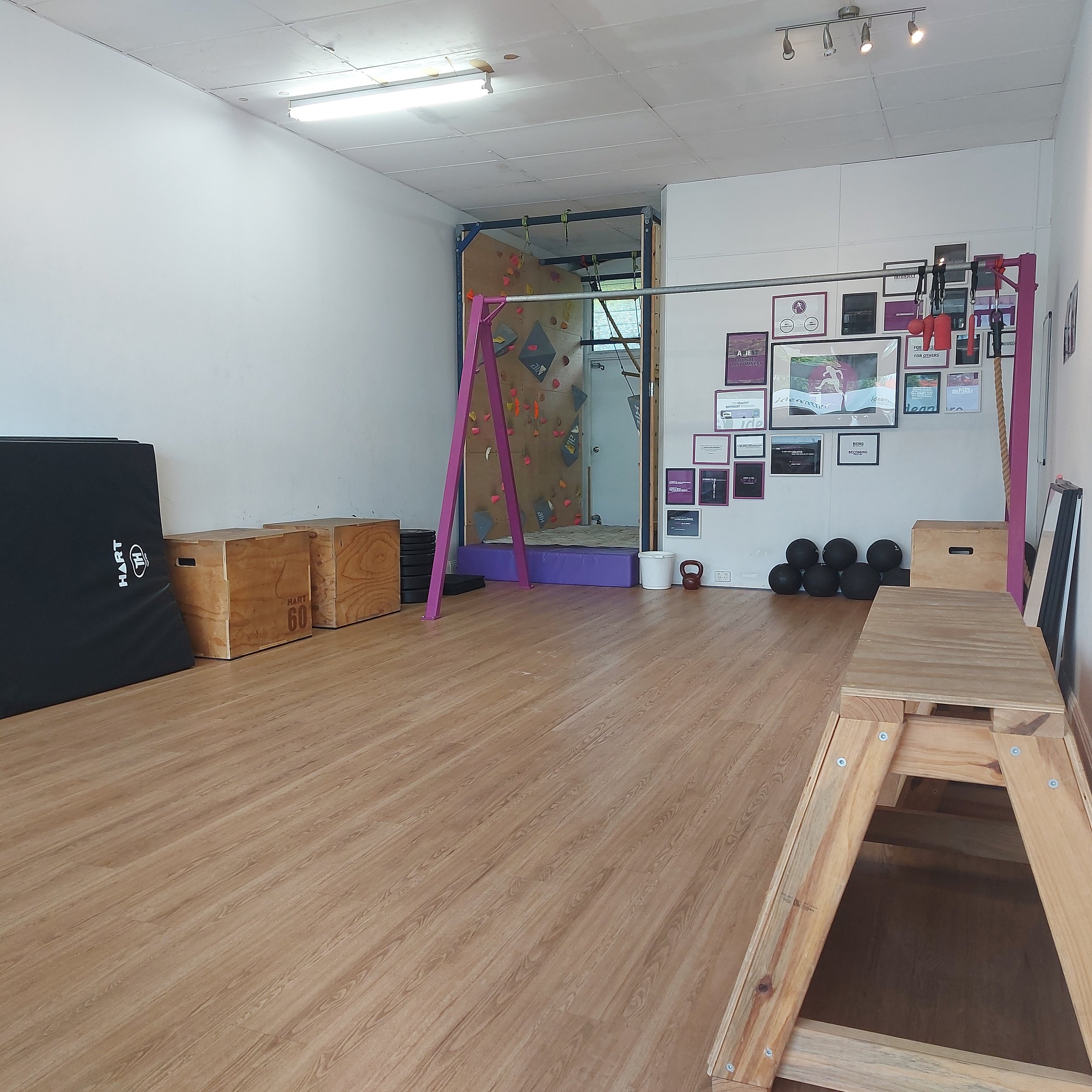 Disability Fitness Services — Ideanthro Movement - Brisbane's Movement ...