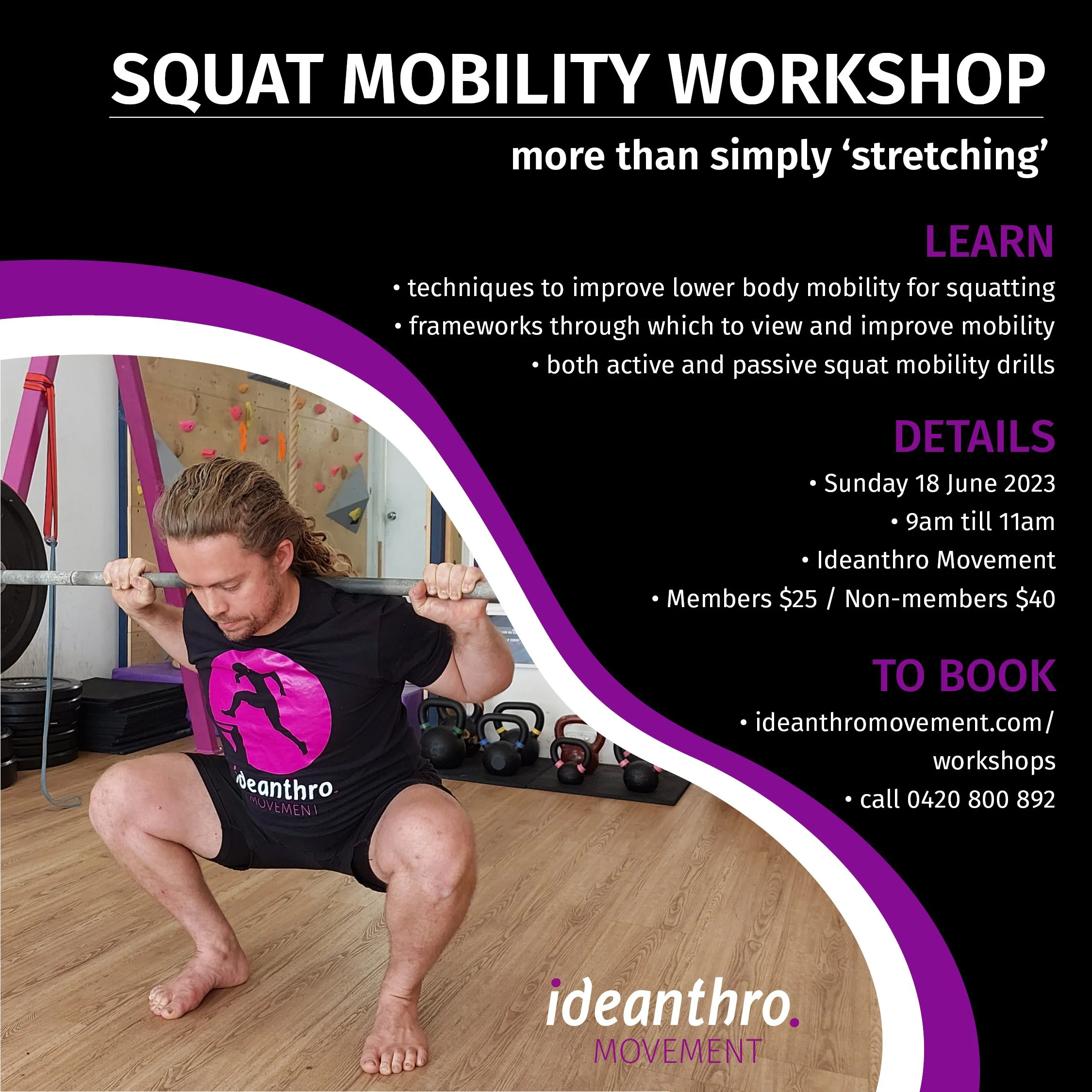 Workshop Overview — Ideanthro Movement - Brisbane's Movement Gym ...