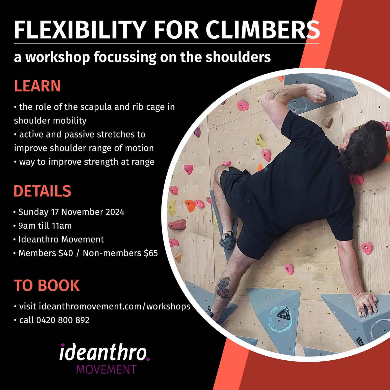 Workshop Overview — Ideanthro Movement - Brisbane's Movement Gym ...