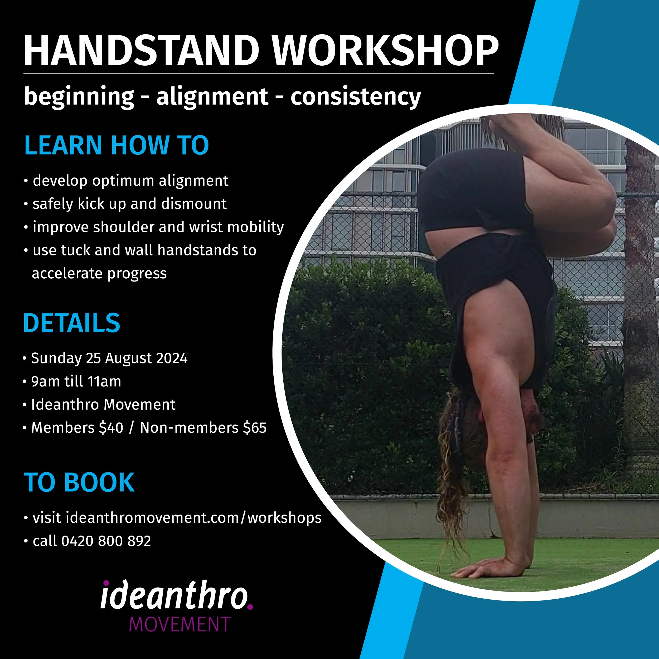 Workshop Overview — Ideanthro Movement - Brisbane's Movement Gym - Oxley Gym