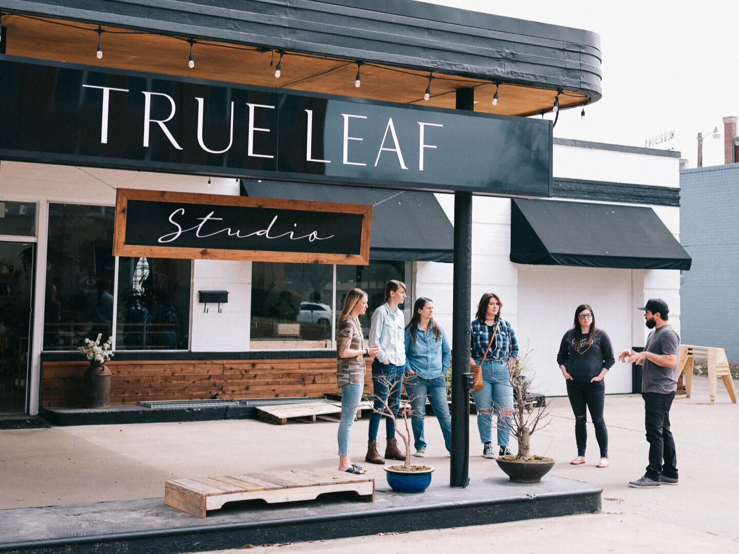 True Leaf Studio