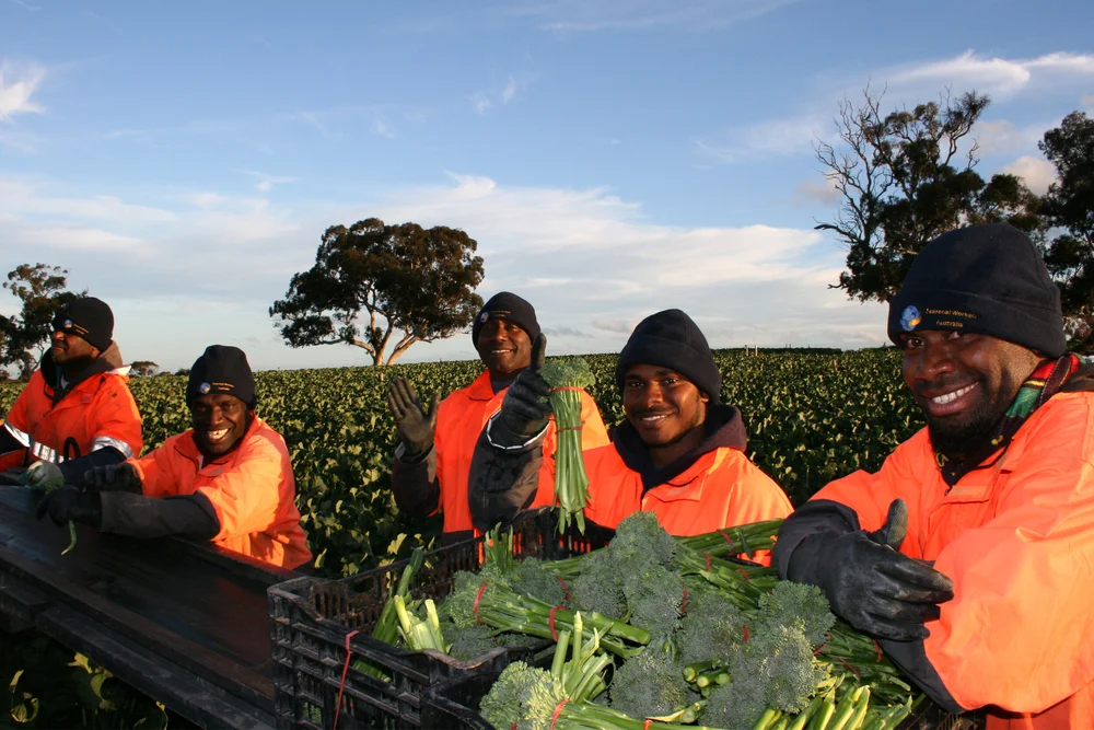 Our Team — Approved Employers of Australia