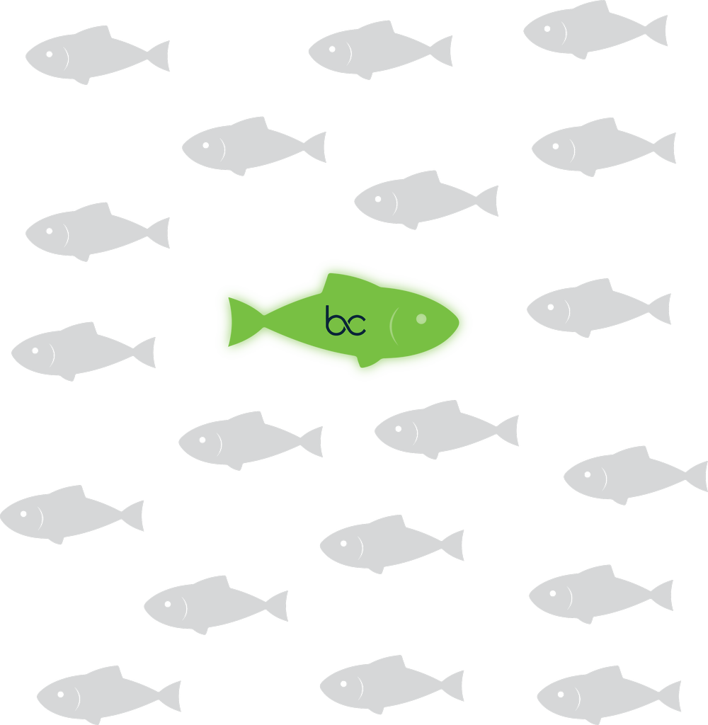 About Us — B&C Plastics