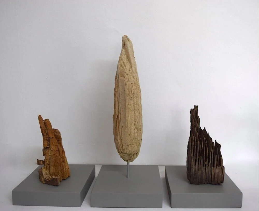 transformations — continuum studio