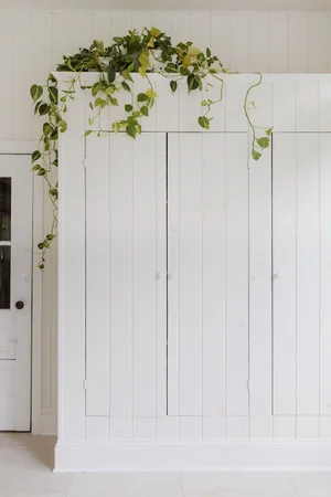 Modern Elegance, Vintage Charm: A Design Journey — Anika Schachtler Design