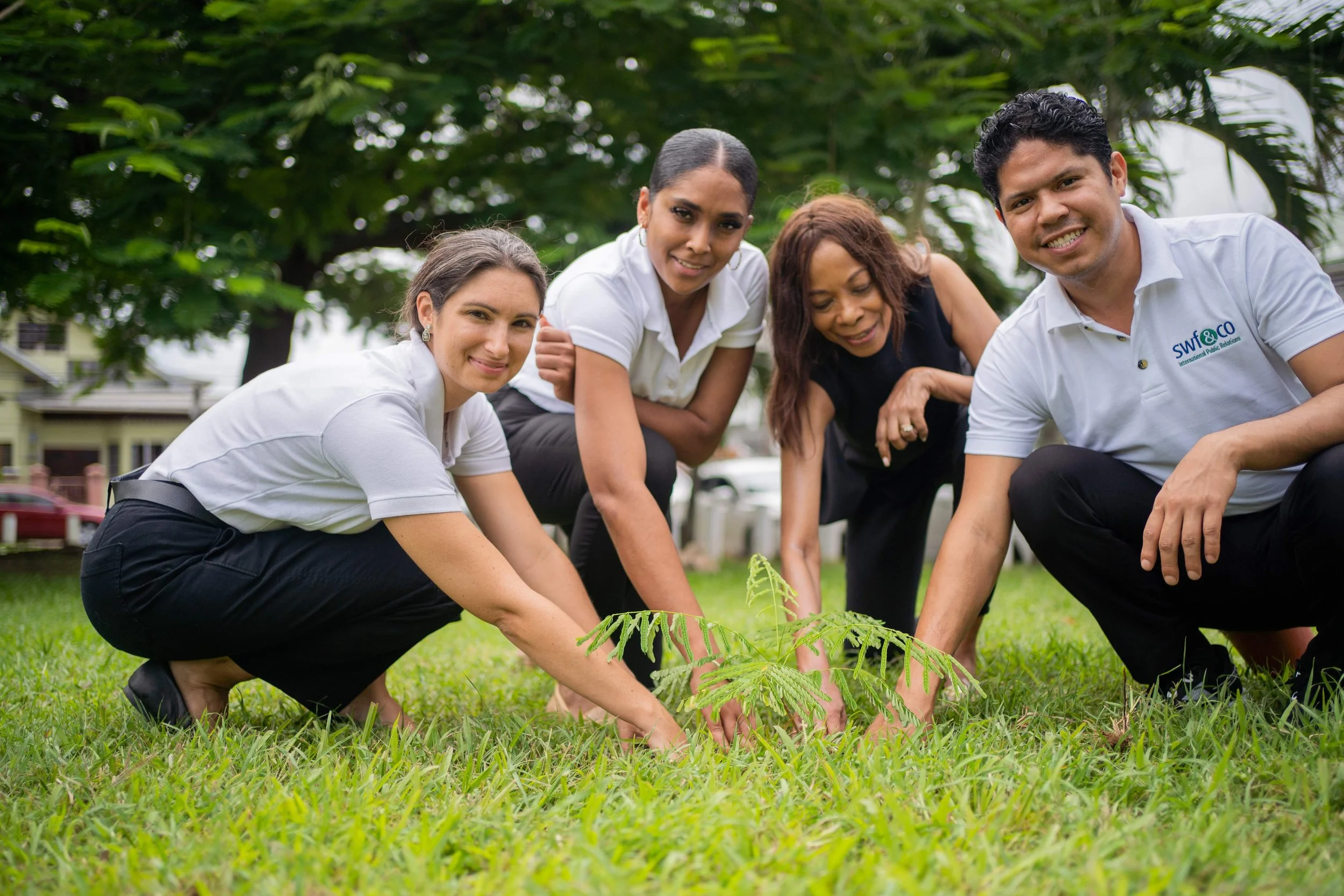 SWF&Co. 30 @ 30! SWF&Co to plant 30 Flamboyant trees to mark its 30th ...