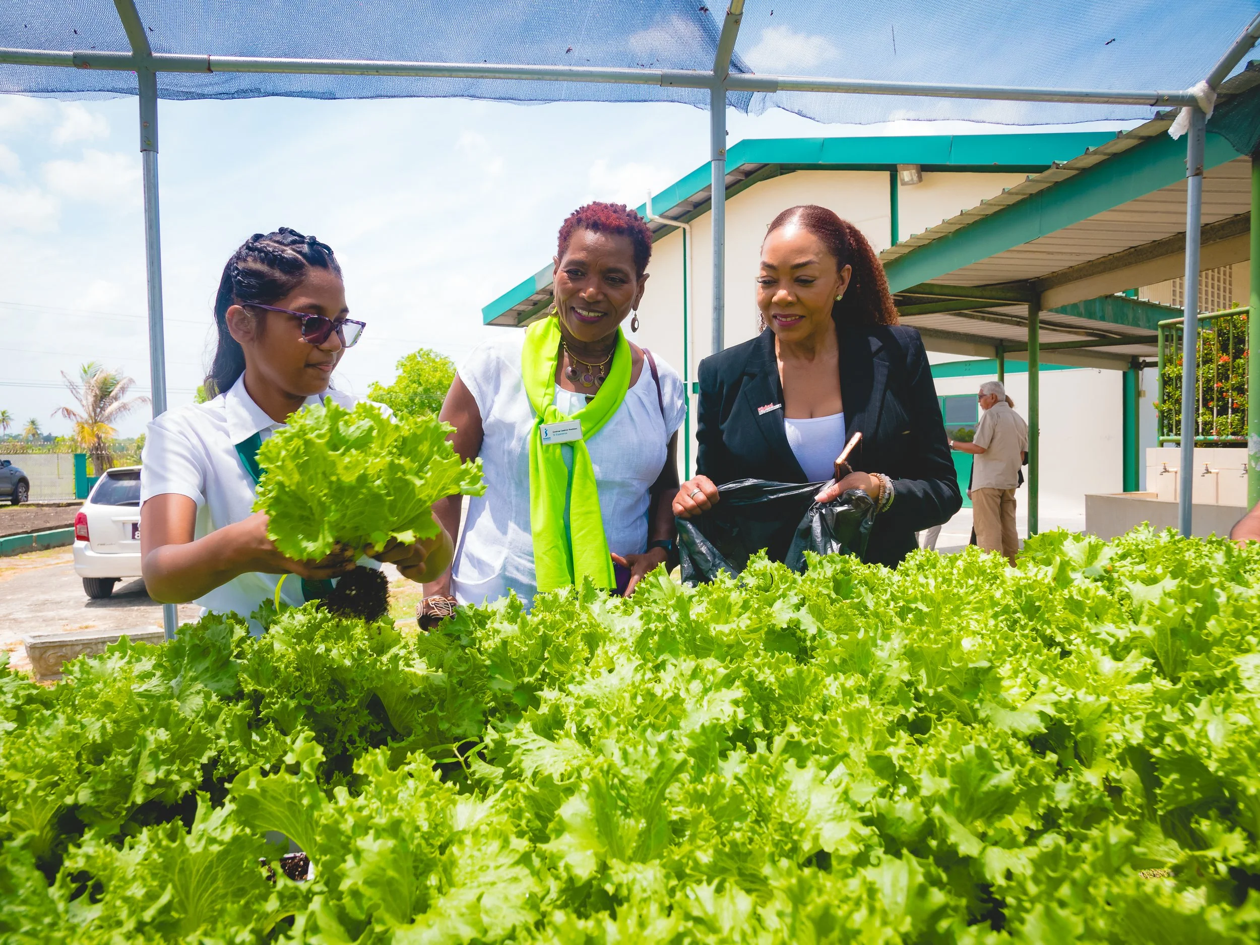 ASJA GIRLS GET SOLAR-POWERED GREENHOUSE — SWF&Co | Public Relations ...