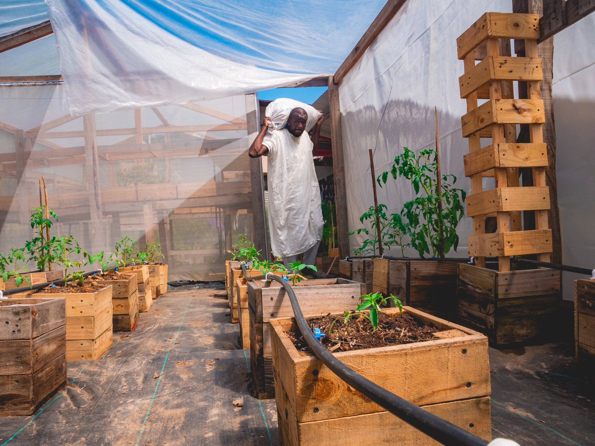 SIPARIA DELTONES LAUNCH ‘RAILWAY PIZZA’ GARDEN — SWF&Co | Public ...