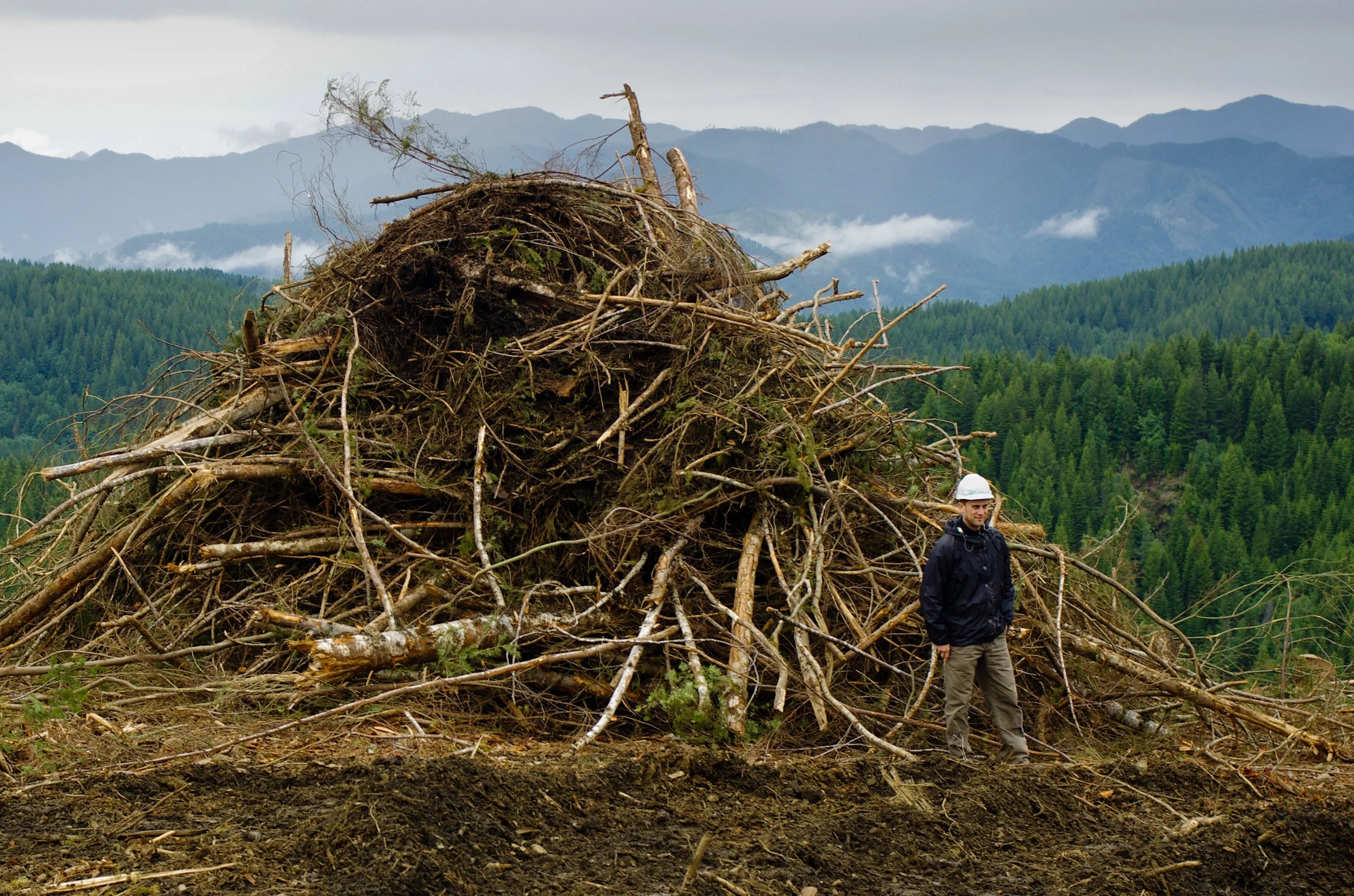 Wisewood Energy