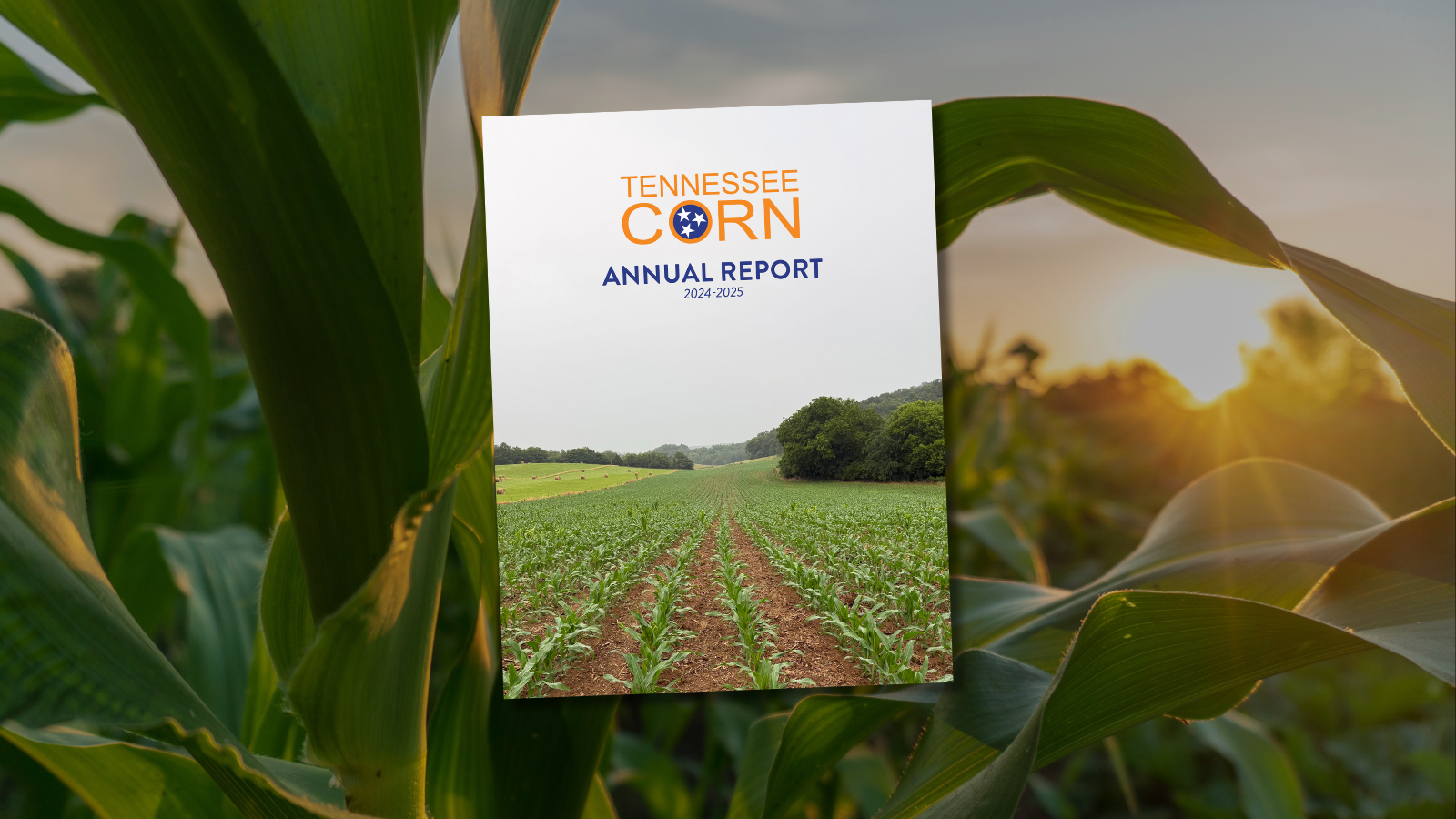 Tennessee Corn