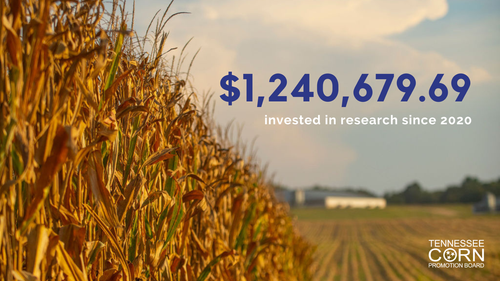 Investing in Innovation for Tennessee Corn Farmers — Tennessee Corn