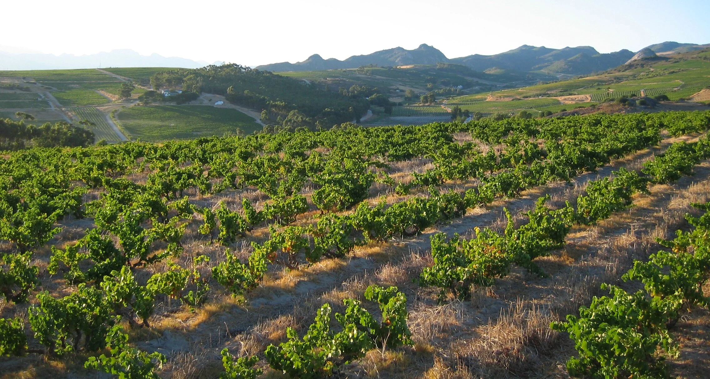 South Africa's Wine Regions — vinportequoi.com