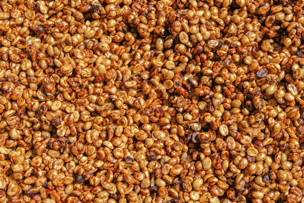 Our Coffee | Aloha Star 100% Kona Coffee Farm