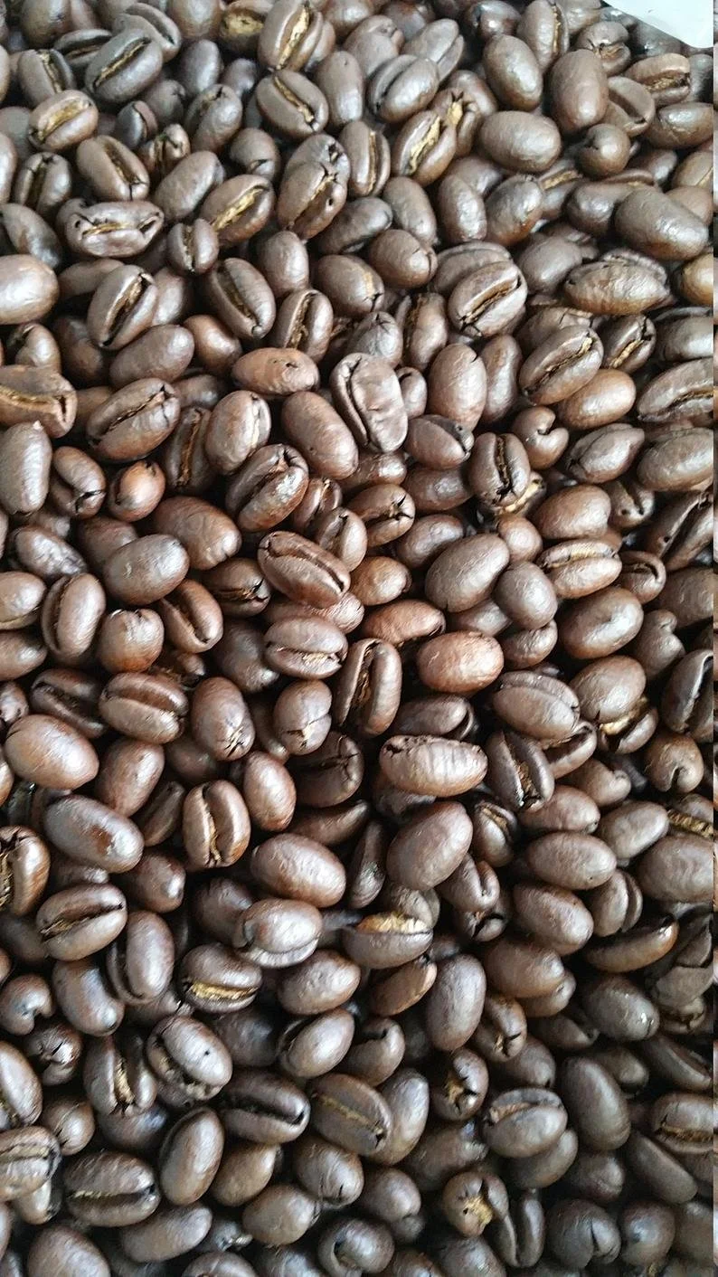 Aloha Star 100% Kona Coffee Private Reserve Green beans - Washed ...
