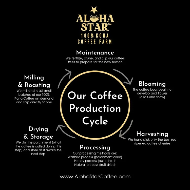 Our Coffee | Aloha Star 100% Kona Coffee Farm