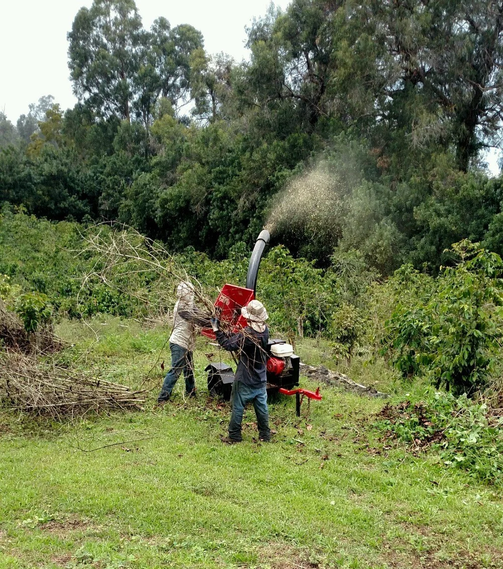 From Kona Coffee Farm to Cup of Coffee: Our Quality-Oriented and ...