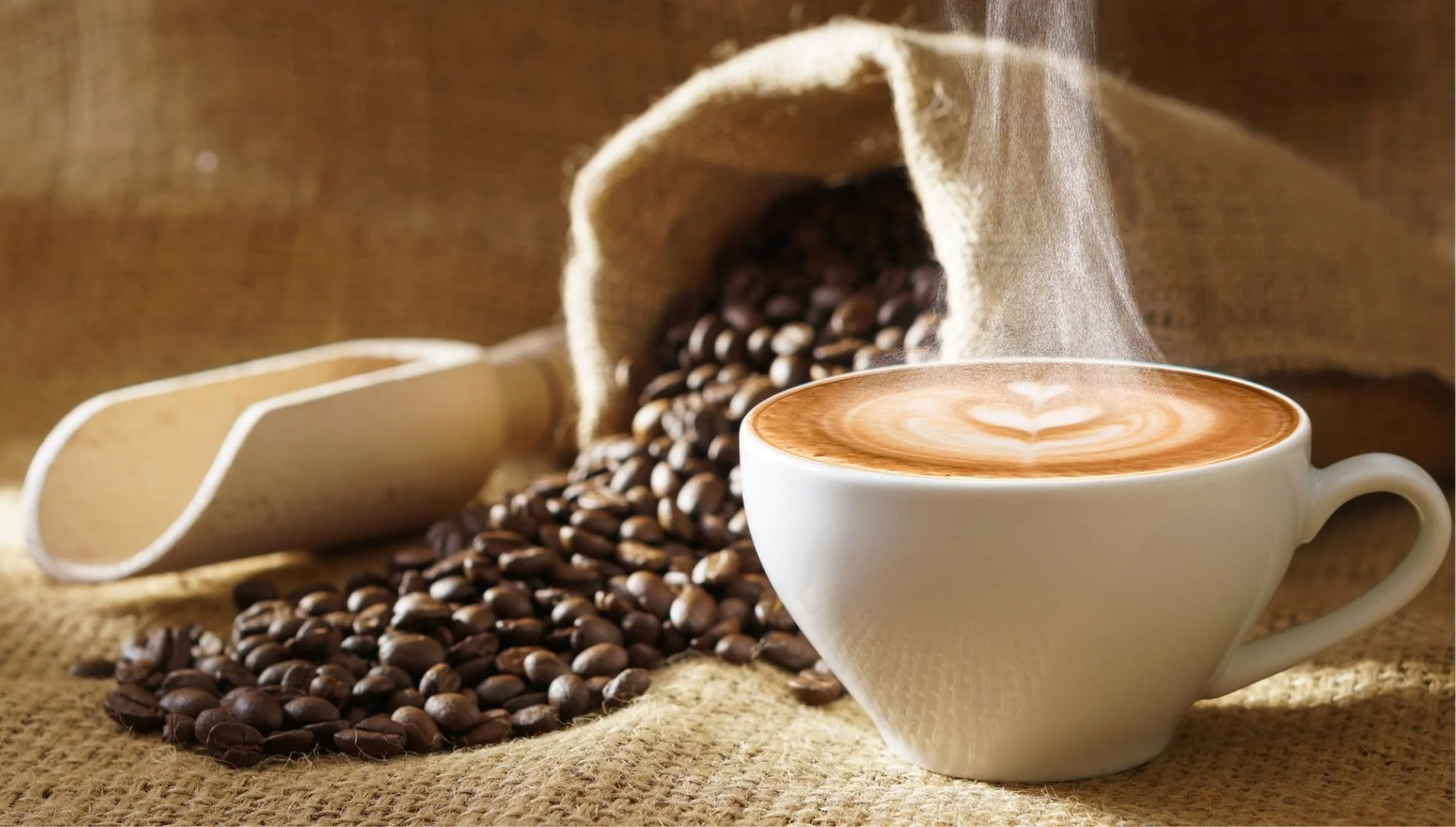 Aloha Star 100% Kona Coffee | Aloha Star Coffee Farms