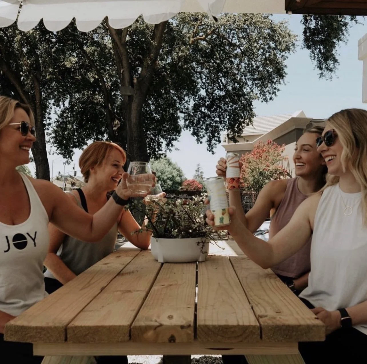 Shop — Studio Joy California