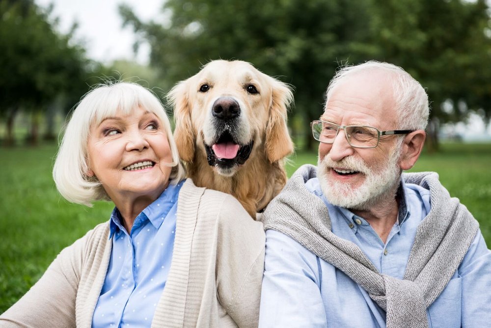 The 21 Best Dogs for Seniors: How To Find the Perfect Fur Friends ...