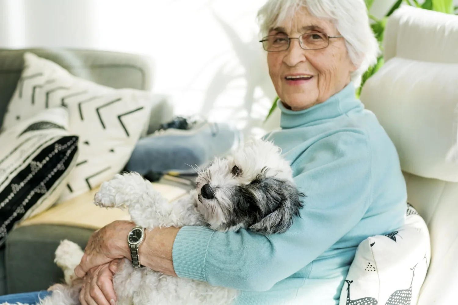 The 21 Best Dogs for Seniors: How To Find the Perfect Fur Friends ...