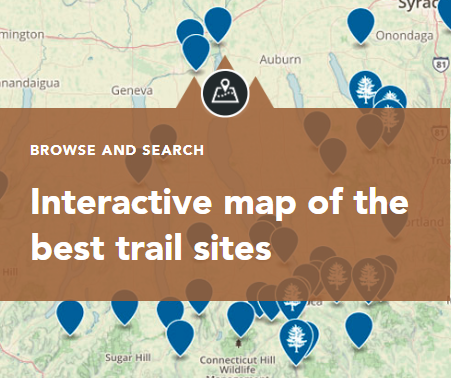 Maps and Guides — GO ITHACA