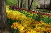 Spring Gardening in Arkansas: What to Plant Now — Live Love Arkansas