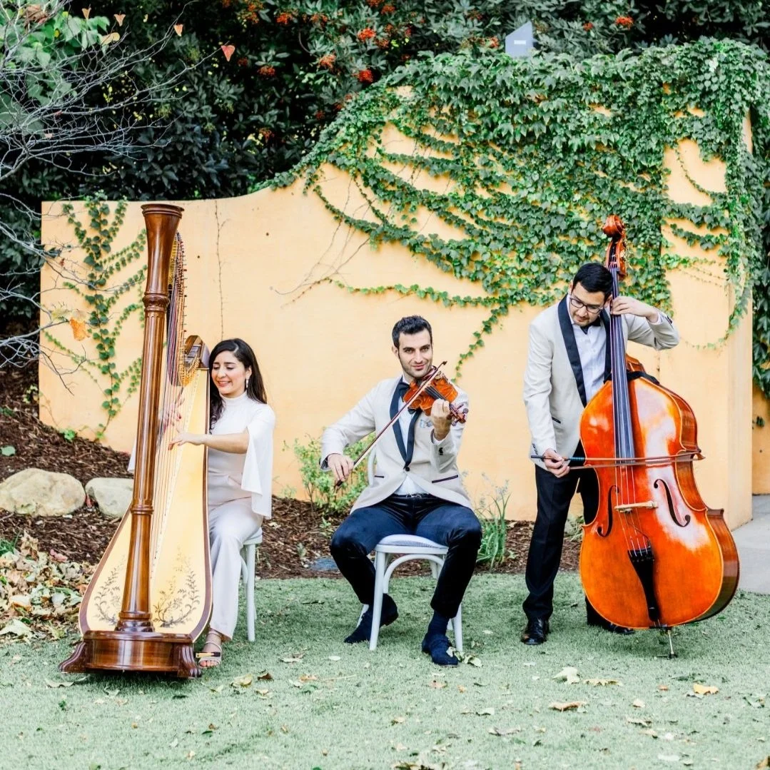 Enchanted Strings by Ashot Dumanyan - Solo Violinist & Ensembles – Los Angeles Wedding Musicians