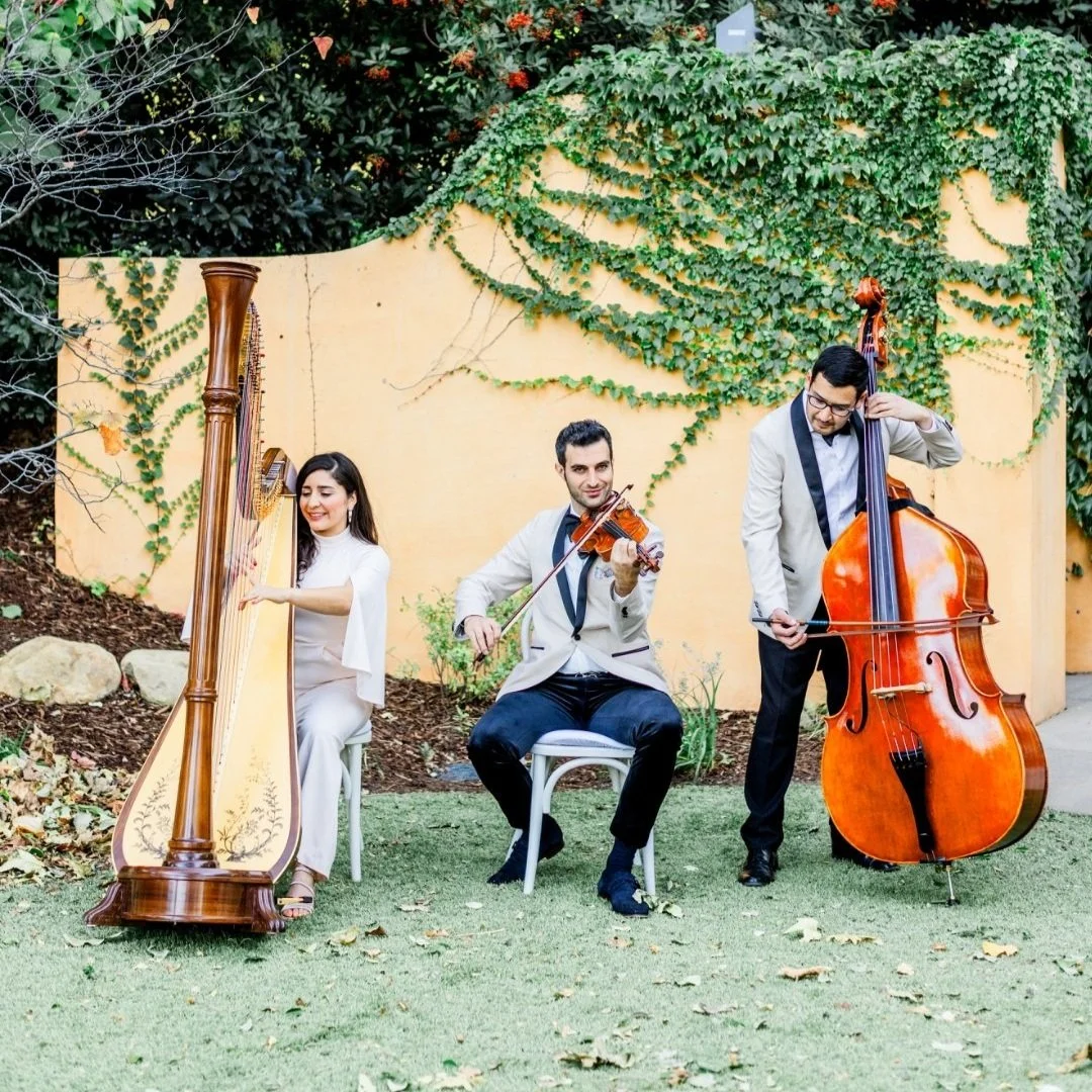 Enchanted Strings by Ashot Dumanyan | Solo Violinist & Ensembles ...