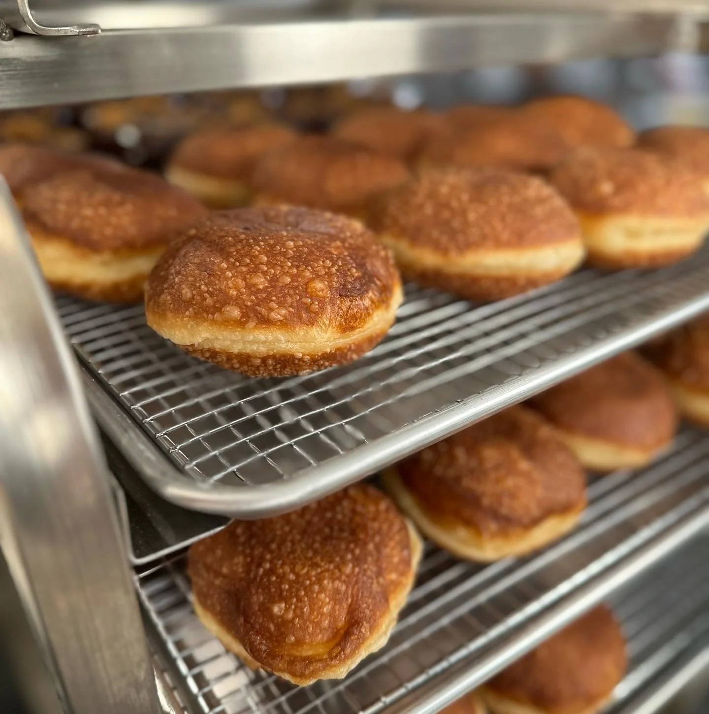 Taylor's Donuts